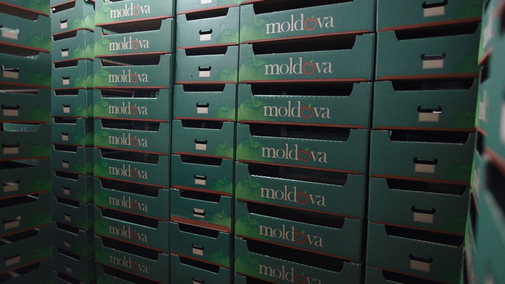 Ambalaje pentru fructe | CodruST